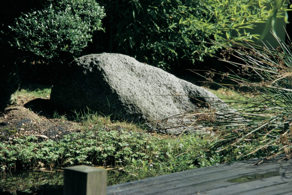 Hausgärten - Michael W. Veith